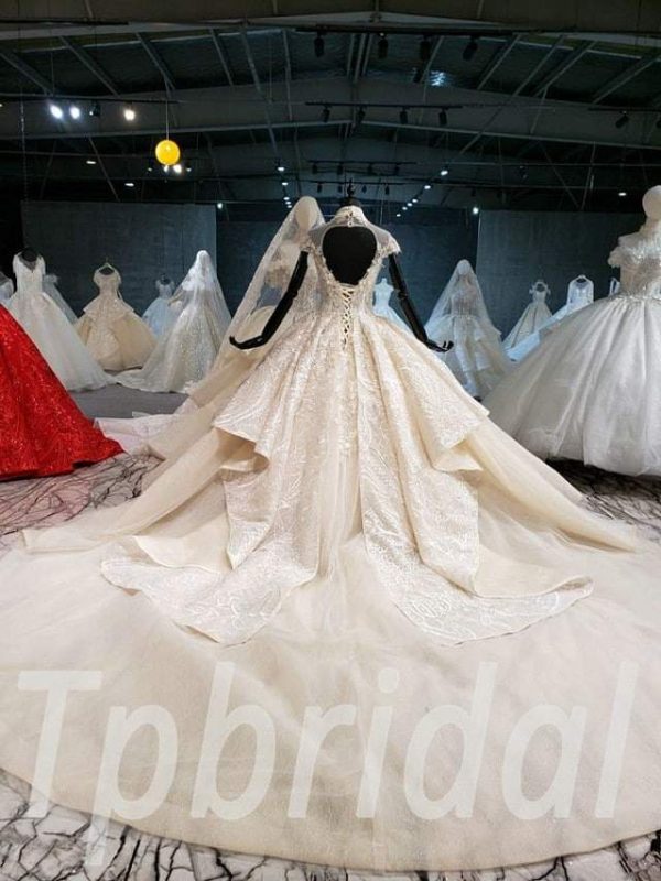 Long Train Wedding Dress High Neck Ball Gown Champagne Bridal Dress